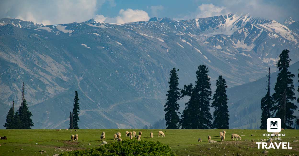 കൗതുകമുണര്‍ത്തുന്ന കാഴ്ചകൾ; ദാല്‍ തടാകത്തില്‍ ഒരു ദിവസം – Kashmir ...