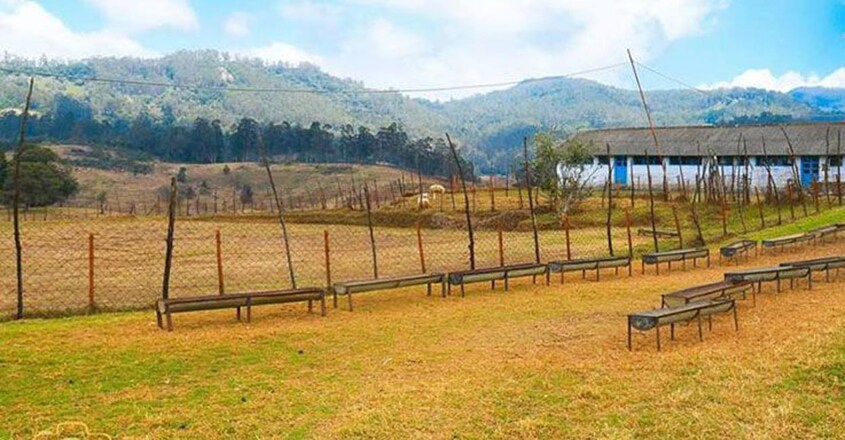 ഇത് യൂറോപ്പ് അല്ല, കടുത്ത വേനലിലും തണുപ്പ്: കൊടൈക്കനാലിൽ ഇങ്ങനെയും ...