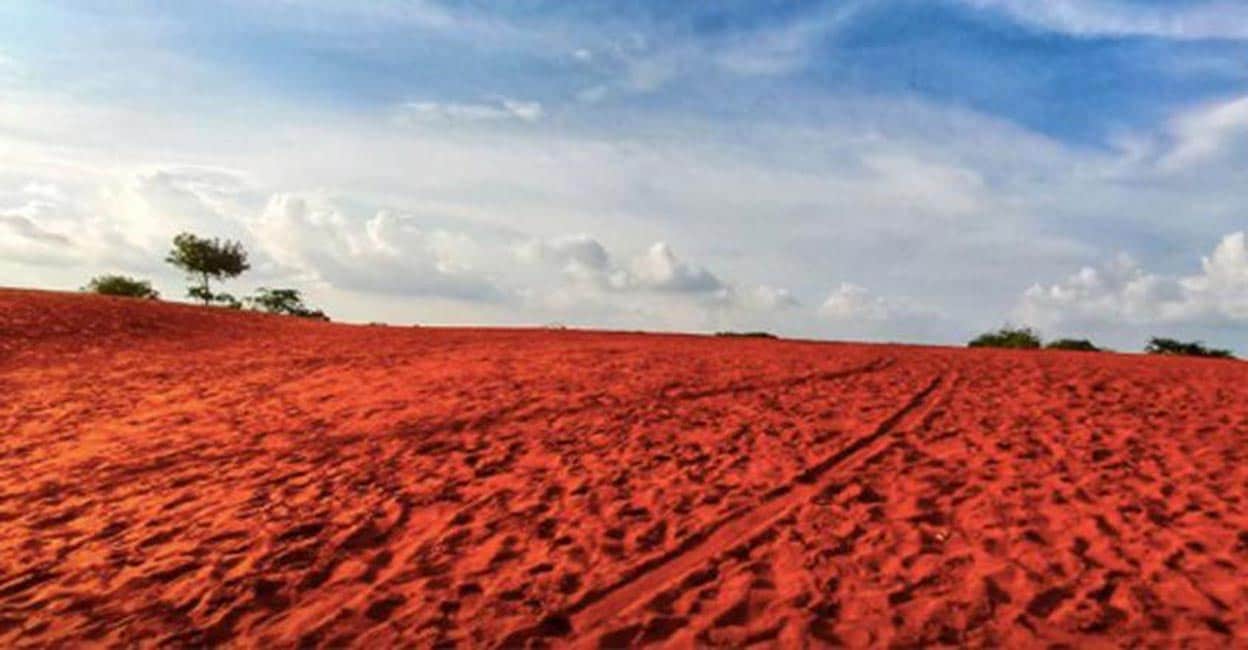 അങ്ങ് അമേരിക്കയിലല്ല, കേട്ടിട്ടുണ്ടോ തമിഴ്നാട്ടിലെ ഈ ചുവന്ന ...
