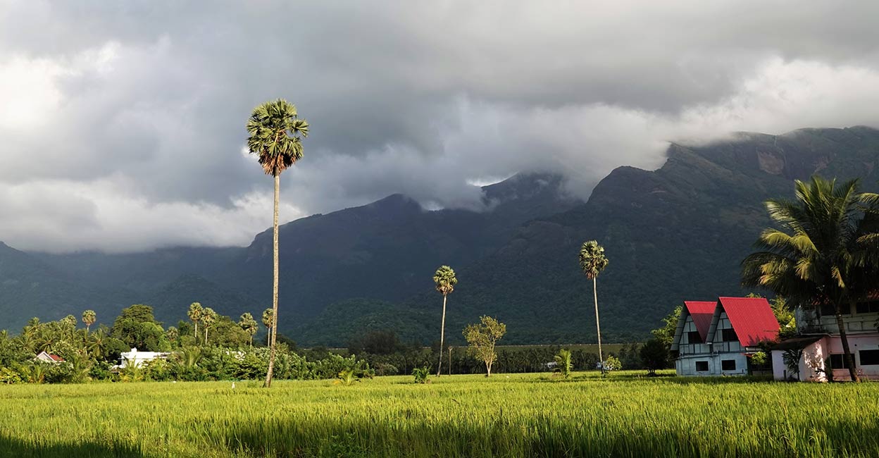 Discover the Hidden Gems: Anand Mahindra's Journey through the ...