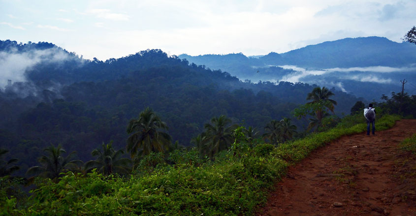 അതിരപ്പിള്ളിയോടു കിടപിടിക്കുന്ന കിടിലൻ വെള്ളച്ചാട്ടം, കാണണമെങ്കി ...