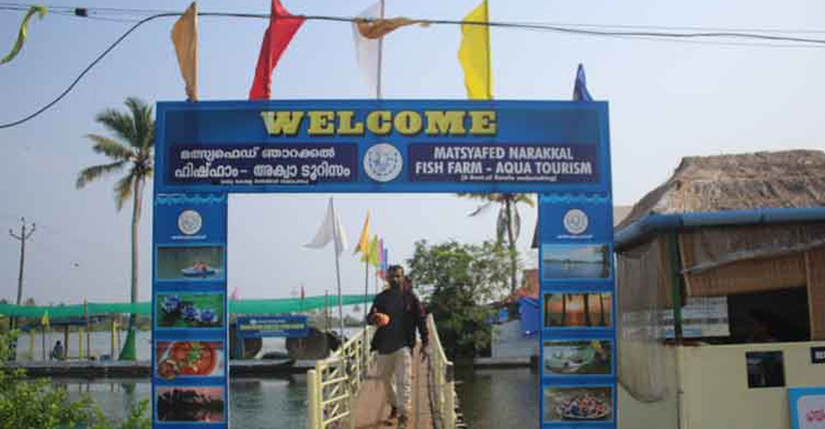 മീൻചാട്ടം കാണാം, മീൻരുചി നുണയാം | Matsyafed Malipuram and NjarackalFish ...