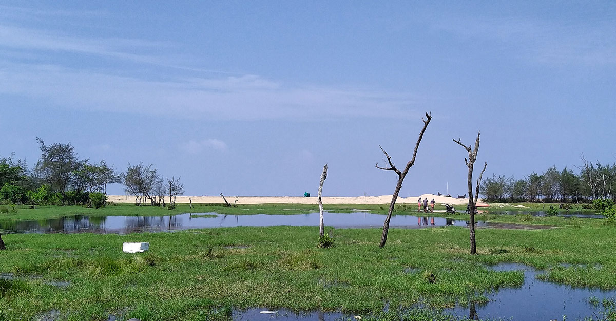 കൊച്ചിയിൽ ഇങ്ങനെയൊരു ബീച്ചോ? ഫോട്ടോഗ്രാഫർമാർ ഇൗ സ്ഥലം കണ്ടാൽ വിടില്ല ...