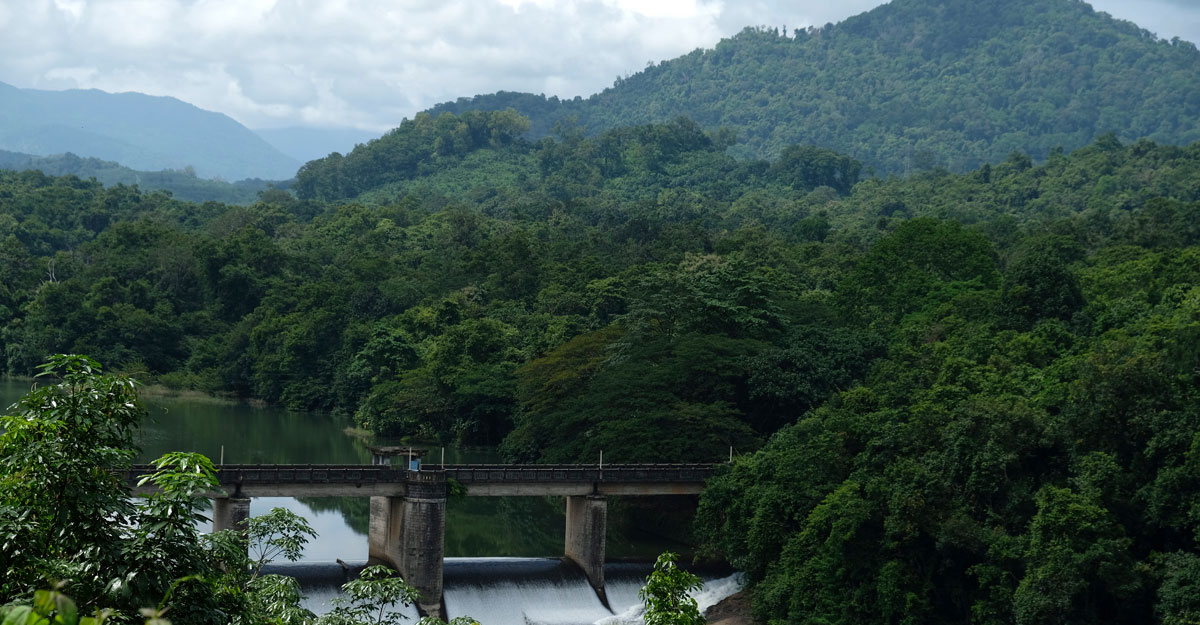 ഗൂഗിളിന് അറിയാത്ത സുന്ദരമായ ഡ്രൈവിങ് പാതയിലൂ‍ടെ വനഗ്രാമത്തിലേക്ക് ...