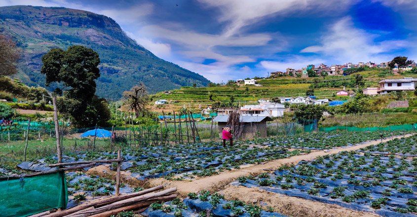 കൊച്ചിയില്‍ നിന്ന് വട്ടവടയിലേക്ക് ആനവണ്ടിയില്‍ മഴയില്‍പ്പൊതിഞ്ഞ ഒരു ...