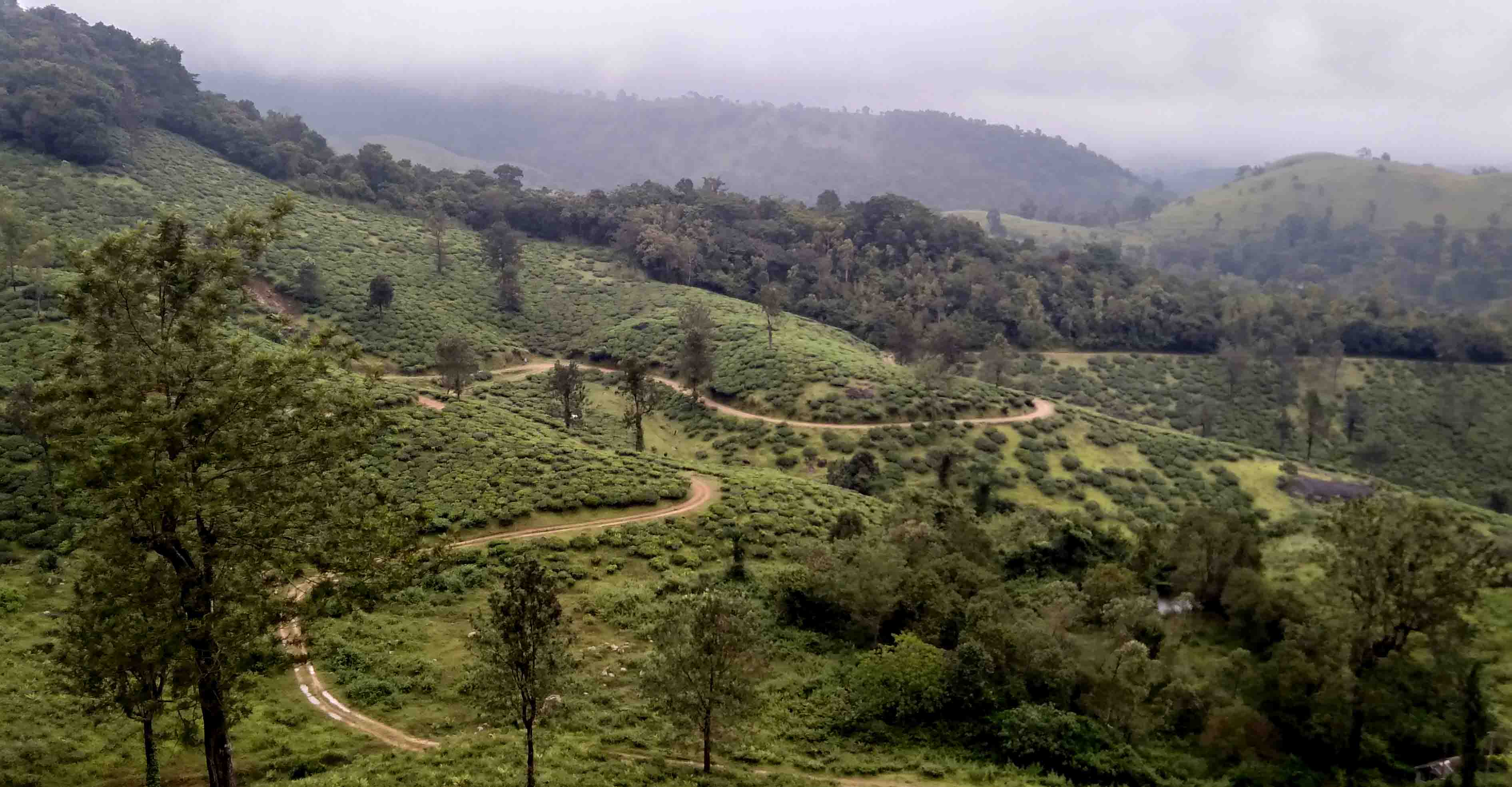 നിധിവേട്ടക്കാര്‍ പൊളിച്ച സായിപ്പിന്റെ ശവകുടീരം; പുത്തുമലയടിവാരത്തെ ...