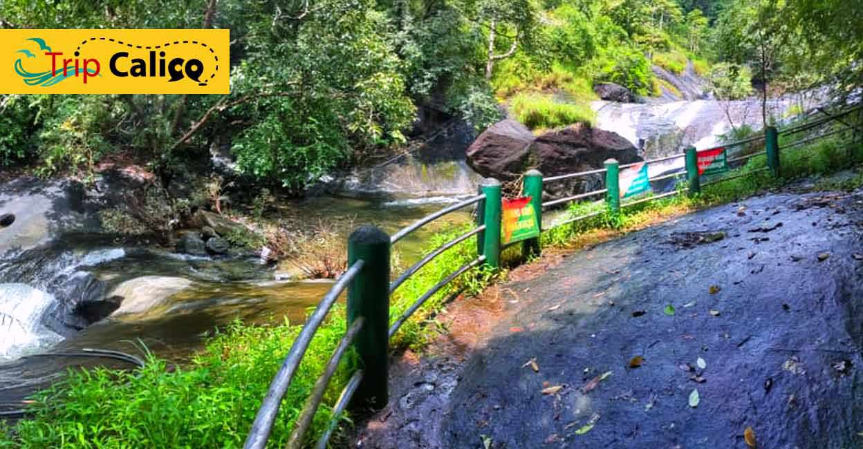 കാടിന്റെ മടിത്തട്ടിൽ പ്രകൃതി ഒളിപ്പിച്ച കാണാക്കാഴ്ചകൾ;‘വനപർവം ...