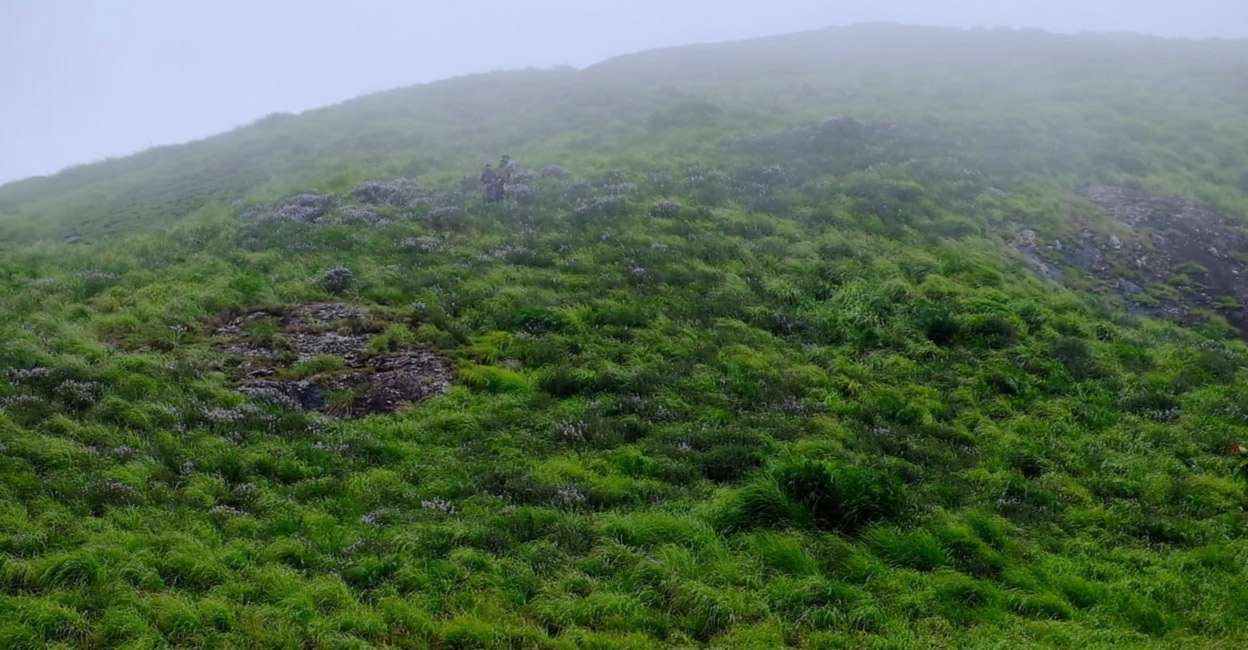 മൂന്നാറും വാഗമണ്ണും സംഗമിച്ചാൽ എങ്ങനെയിരിക്കും, അതാണു ശാന്തൻപാറ ...