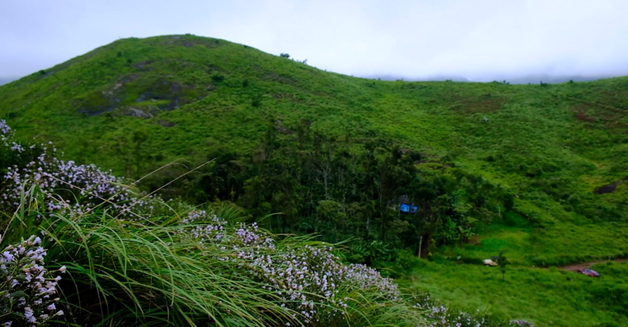 മൂന്നാറും വാഗമണ്ണും സംഗമിച്ചാൽ എങ്ങനെയിരിക്കും, അതാണു ശാന്തൻപാറ ...