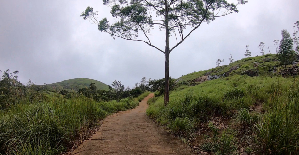 മൂന്നാറും വാഗമണ്ണും സംഗമിച്ചാൽ എങ്ങനെയിരിക്കും, അതാണു ശാന്തൻപാറ ...