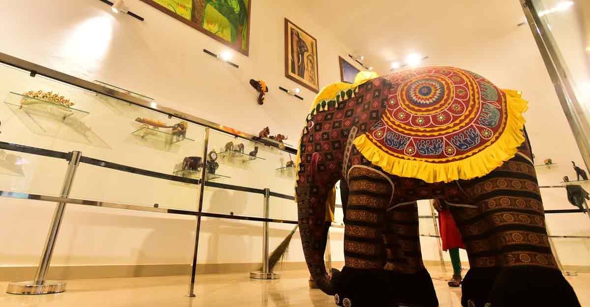 കോന്നിയുടെ കൊട്ടിൽ നിറഞ്ഞ് ആനച്ചന്തം |All about Museum at Elephant ...