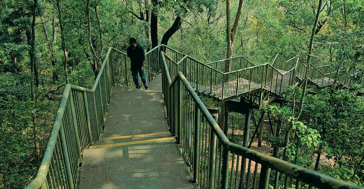 മലമുകളിലെ വെള്ളച്ചാട്ടത്തിൽ കുളിക്കാം;തേക്കിന്റെ നാട്ടിലേക്ക് ...