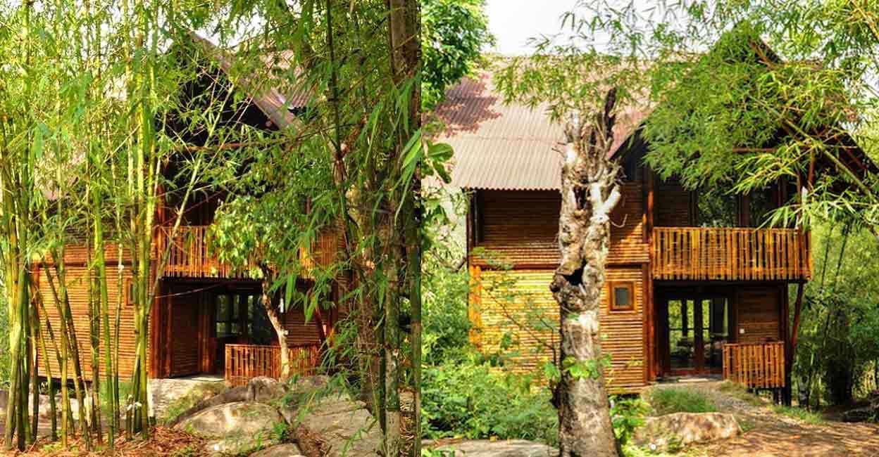 മുള മാത്രം ഉപയോഗിച്ച് ഒരു ഗ്രാമം: വയനാടും സ്വിറ്റ്സർലൻഡുമായുള്ള ...