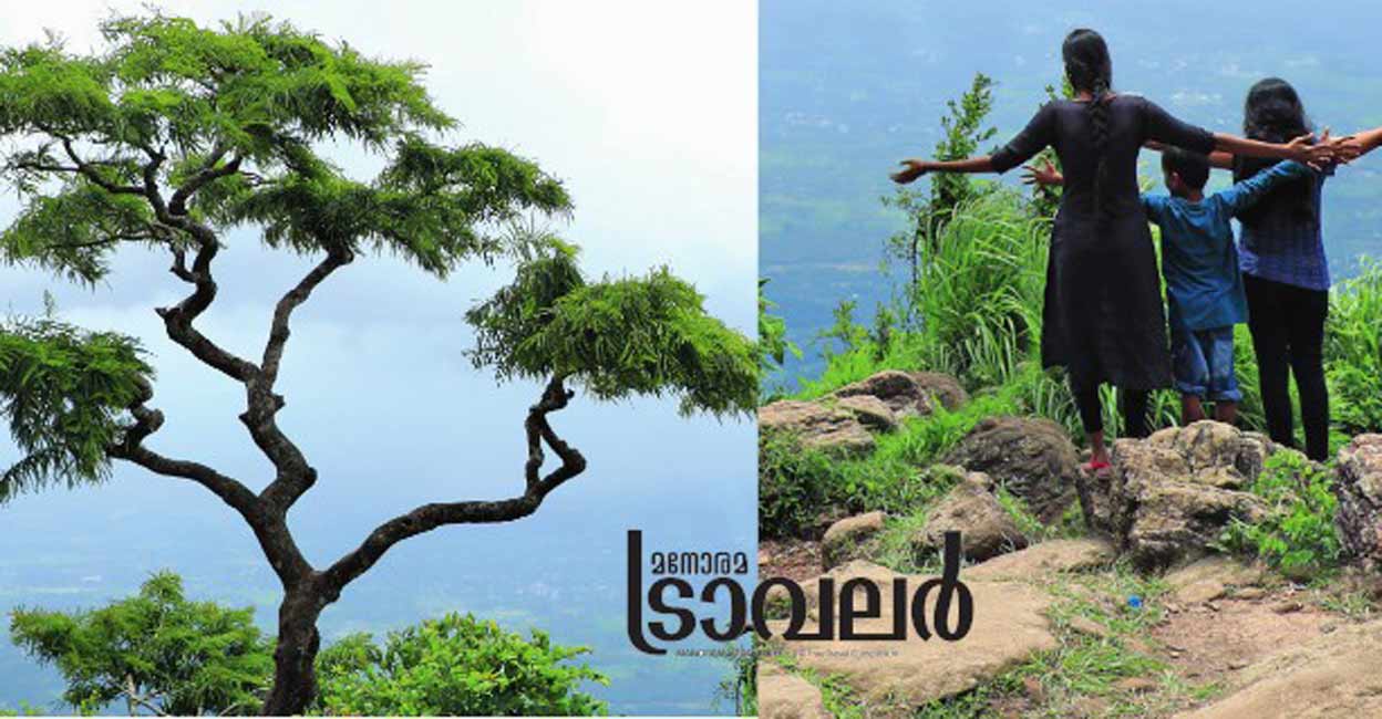 നെല്ലിയാമ്പതിയിൽ കാണാനുള്ളത് എന്തെല്ലാം? ഓറഞ്ച് വിളയുന്നത് എപ്പോ ...