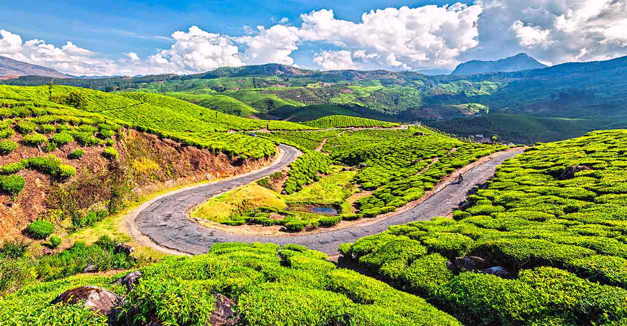 മഴനിഴൽക്കാട്ടിൽ താമസം; മൂന്നാറിലെ ഇൗ 2 റൂട്ടുകൾ പൊളിയാണ് | Most Scenic ...