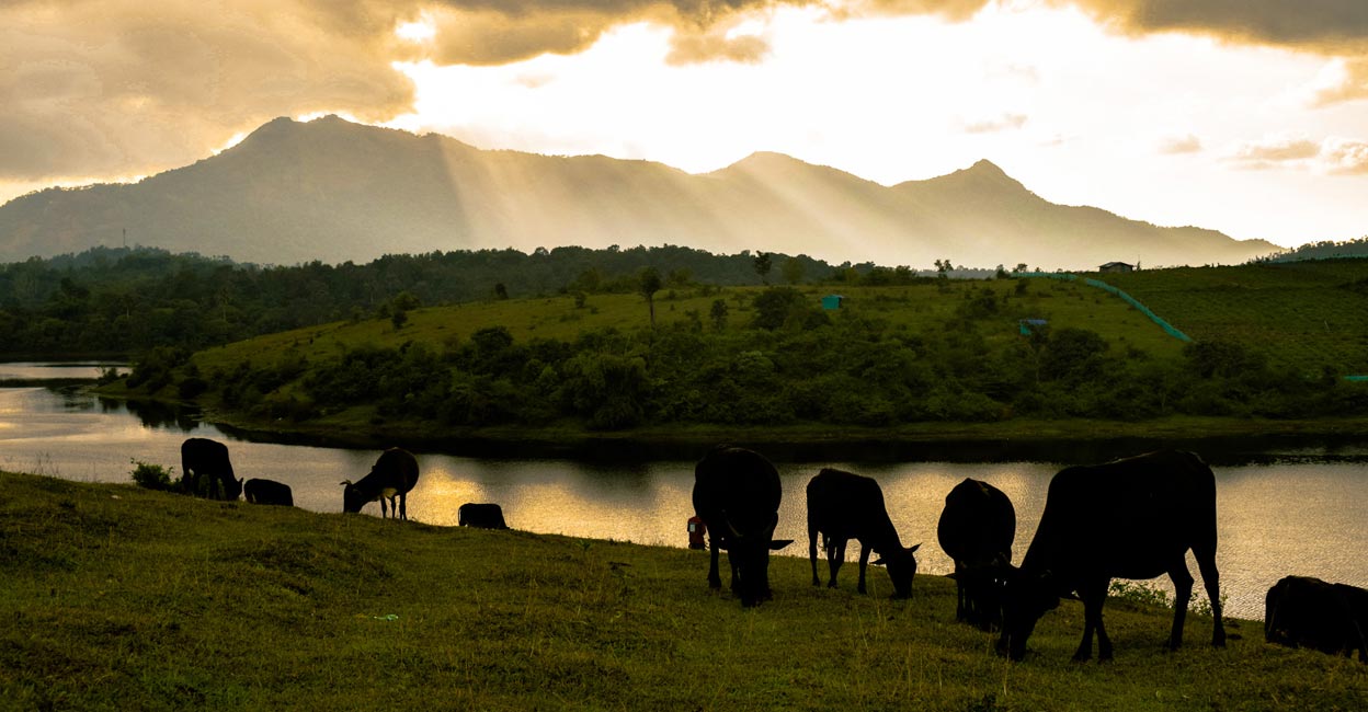വയനാടിന്റെ ഇൗ അതിശയ കാഴ്ച കണ്ടില്ലെങ്കിൽ പിന്നെ എന്തിനു യാത്ര തുടരണം ...