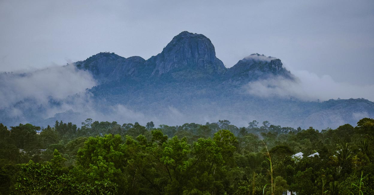 വയനാടിന്റെ ഇൗ അതിശയ കാഴ്ച കണ്ടില്ലെങ്കിൽ പിന്നെ എന്തിനു യാത്ര തുടരണം ...