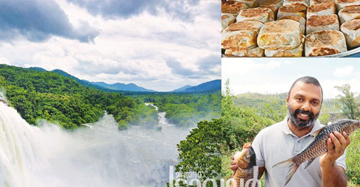 പഫ് പൊറോട്ടയിൽ തുടങ്ങി കുയിൽ മീൻ രുചിയിൽ അവസാനിക്കുന്ന രുചിയാത്ര ...