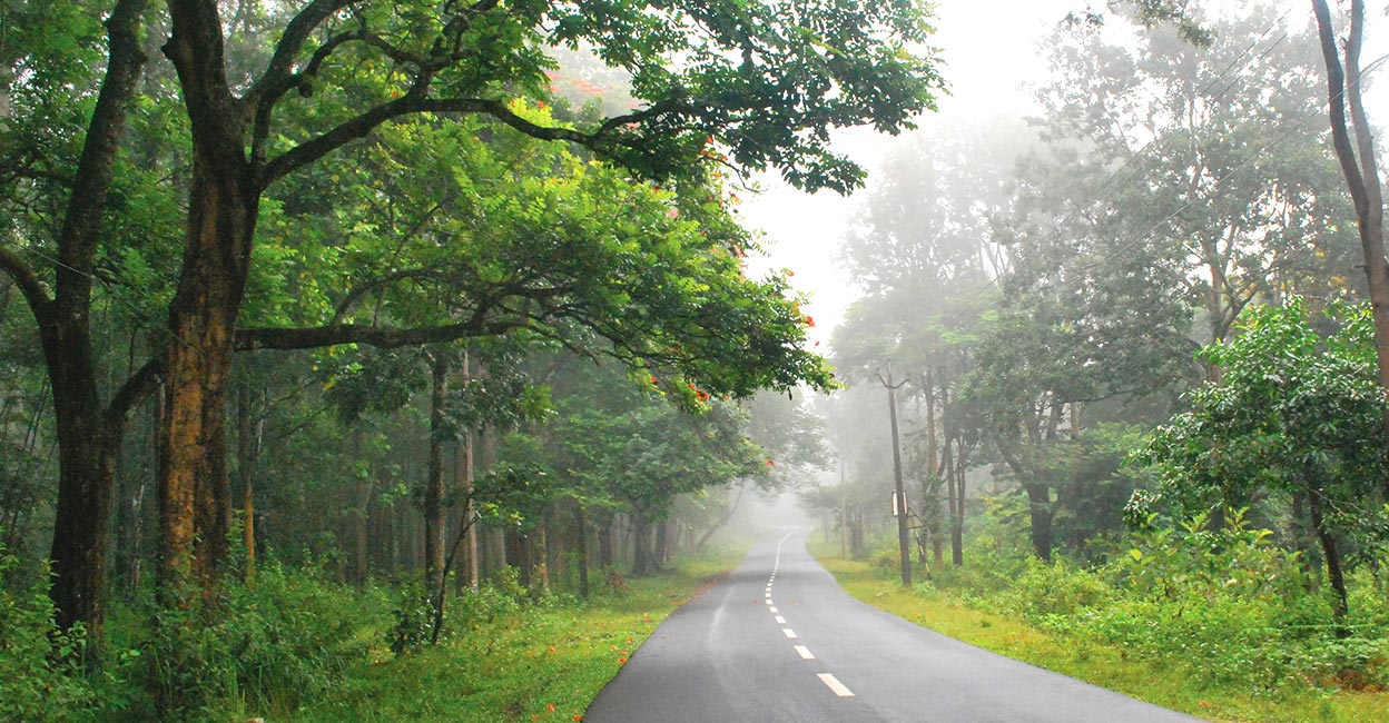 വയനാട്ടിൽ എന്തൊക്കെ കാണാം; അവധിക്കാല യാത്ര ഇങ്ങനെ പ്ലാൻ ചെയ്യാം Places ...