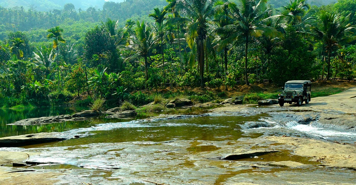 കോടമഞ്ഞിൽ പൊതിഞ്ഞ മാങ്കുളം; കാഴ്ചകൾ തേടി സഞ്ചാരികൾ | Tourist ...