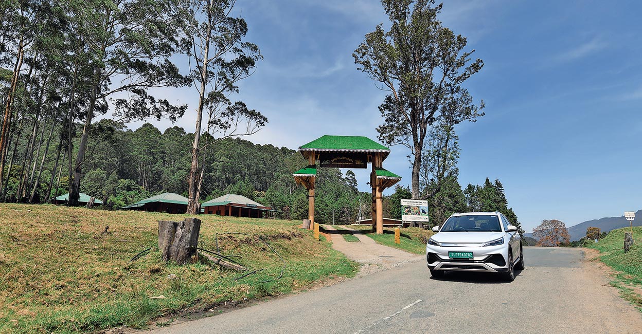 പുൽമേട്ടിലെ മരവീട്; പഴത്തോട്ടത്തിൽ രാപാർക്കാം, മൂന്നാറിലെ സുന്ദര ...