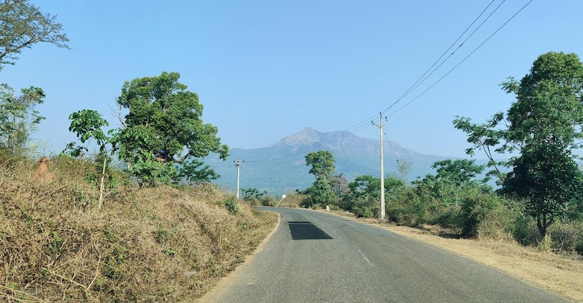 കാടിനുള്ളിലെ കൊട്ടാരത്തിൽ താമസിക്കാം; വയനാടിന്റെ കാഴ്ചയിലേക്ക് ...