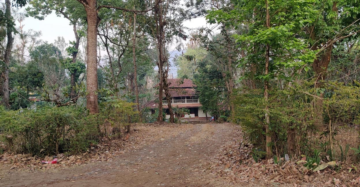 കാടിനുള്ളിലെ കൊട്ടാരത്തിൽ താമസിക്കാം; വയനാടിന്റെ കാഴ്ചയിലേക്ക് ...