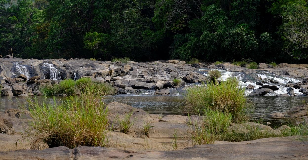 Visit Tourist spot Pooyamkutty