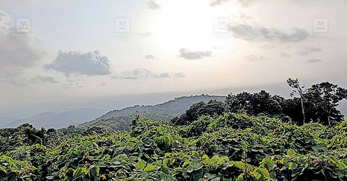 മട്ടന്നൂർ മാലൂരിനു സമീപം പുരളിമല - Puralimala in Kannur | Unexplored ...