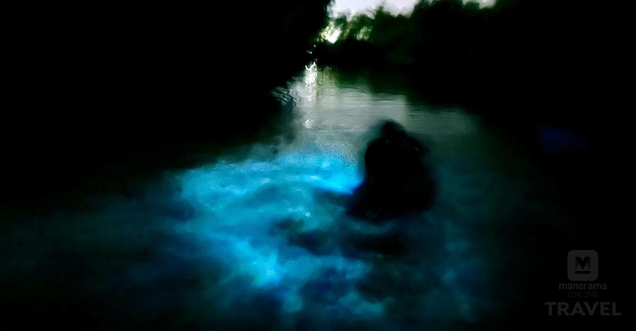 കുമ്പളങ്ങിയിലെ രാത്രികളെ മനോഹരമാക്കുന്ന അദ്ഭുത വെളിച്ചം - Kumbalangi ...