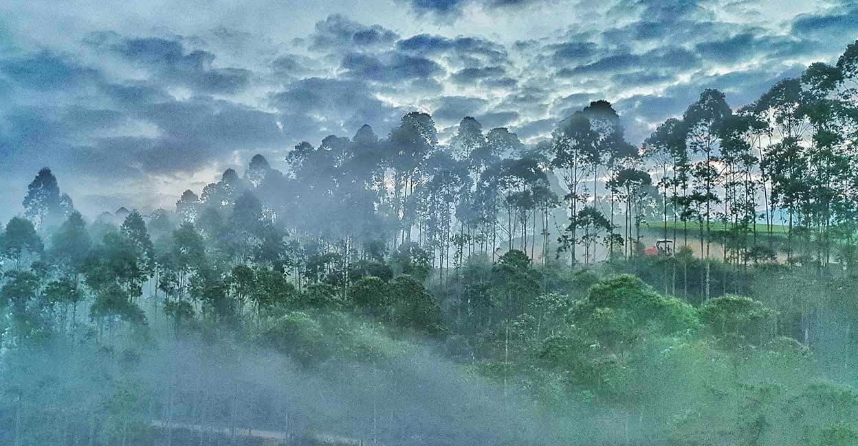 മഞ്ഞുവീഴ്ചയിൽ മൂന്നാർ; സഞ്ചാരികളുടെ തിരക്കേറുന്നു | Tourists Flow in munnar
