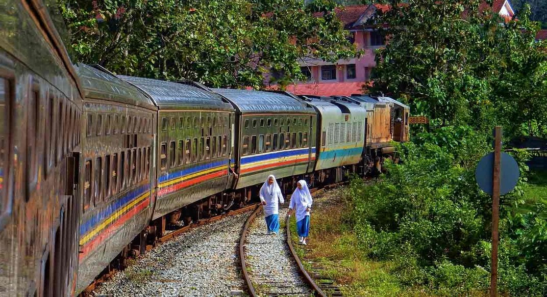 കാടിനുള്ളിലൂടെയുള്ള ട്രെയിൻ യാത്ര; അധികം വൈകിയാല്‍ കാണാനാവില്ല ...