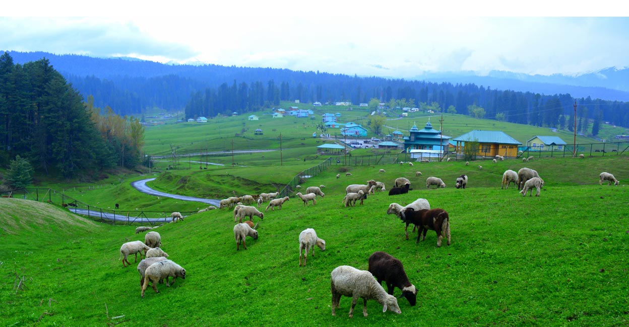 യേശുവിന്റെ പുൽമേട്ടിലേയ്ക്ക് ഒരു യാത്ര; ഭൂമിയിലെ സ്വർഗം ഇതാണ് - Jesus ...