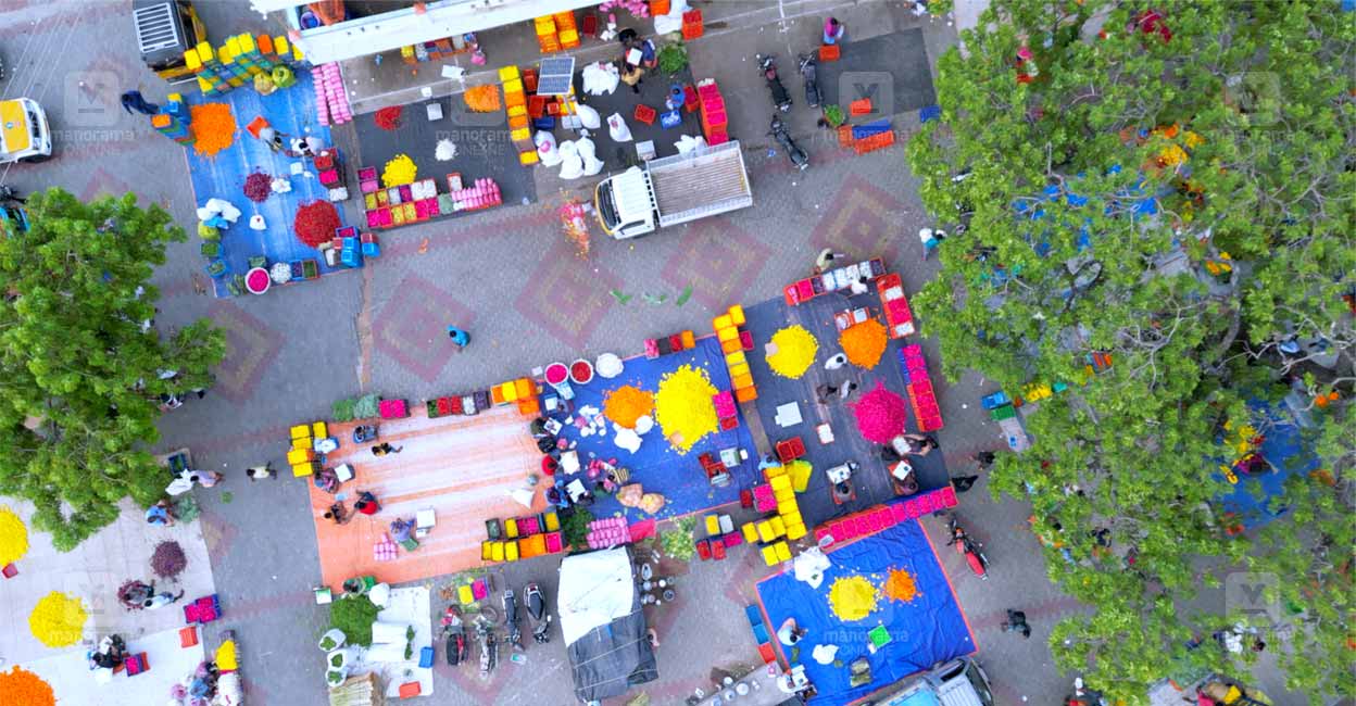 പൂവോളം തോവാള; കേരളത്തിന് നിറങ്ങൾ ചാർത്തുന്ന ഗ്രാമം, വിഡിയോ -Thovalai ...