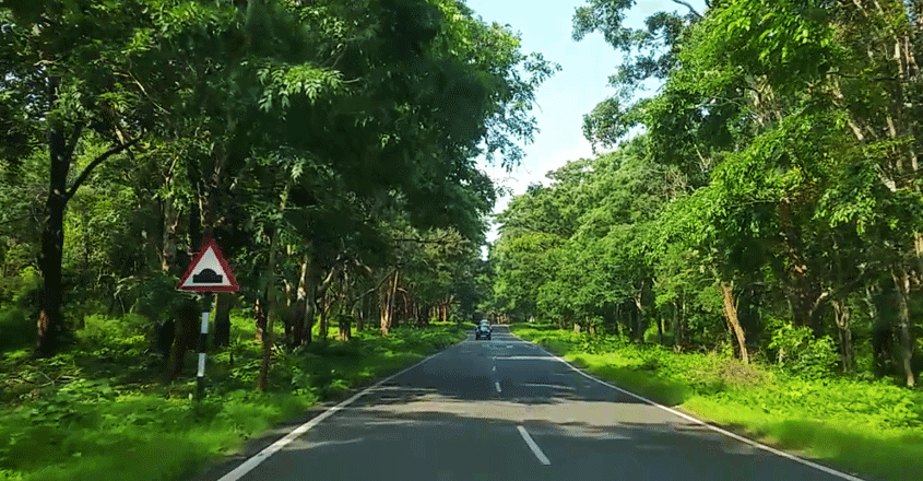 തെന്നിന്ത്യയിലെ ഏറ്റവും മനോഹരമായ റോഡ് ട്രിപ്പിനായി ഇവിടെയെത്താം | Best ...