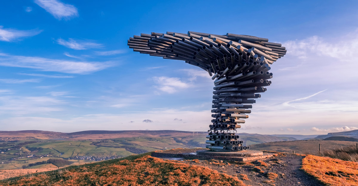 കാറ്റു വീശുമ്പോള്‍ ഒരു പ്രദേശമാകെ സുന്ദരസംഗീതം പൊഴിക്കുന്ന ഭീമന് ...