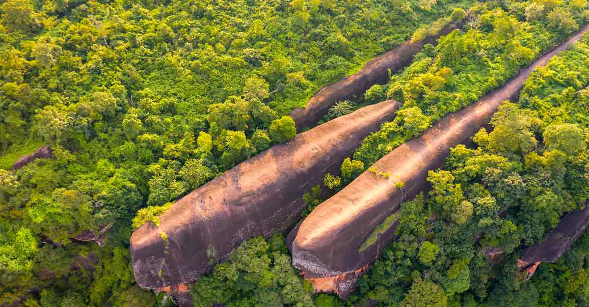 പച്ചവനക്കടലില്‍ നീന്തുന്ന പാറത്തിമിംഗലങ്ങള്‍ | Three Whale Rock Tourist ...