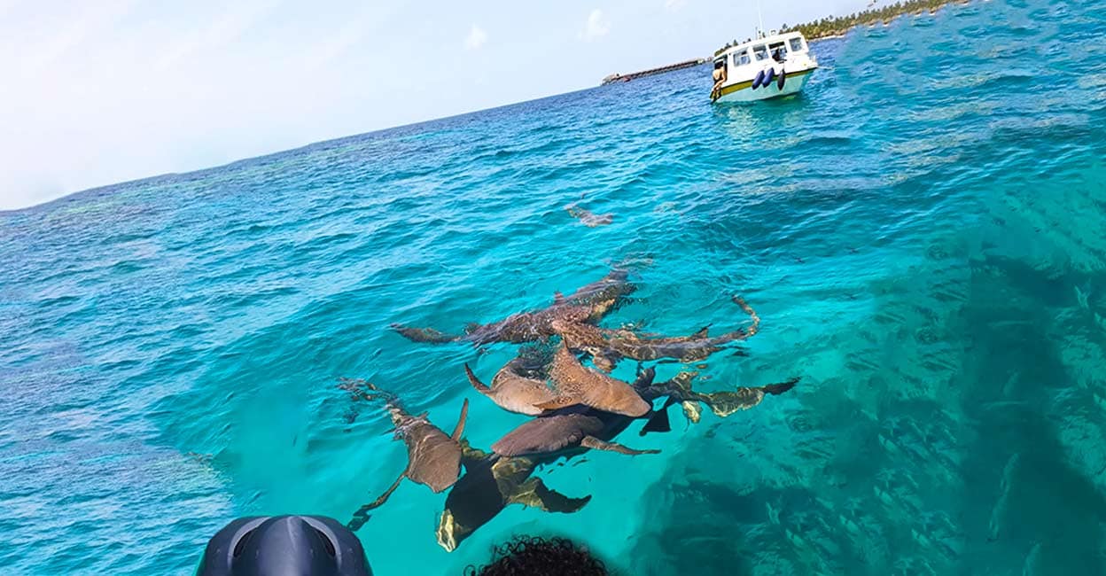 'അവിടെ ഞാൻ പ്രതികരിച്ചു, ട്രെയിനിലും ക്യാമറ വച്ചിരുന്നെങ്കില്‍'; അനുഭവം ...