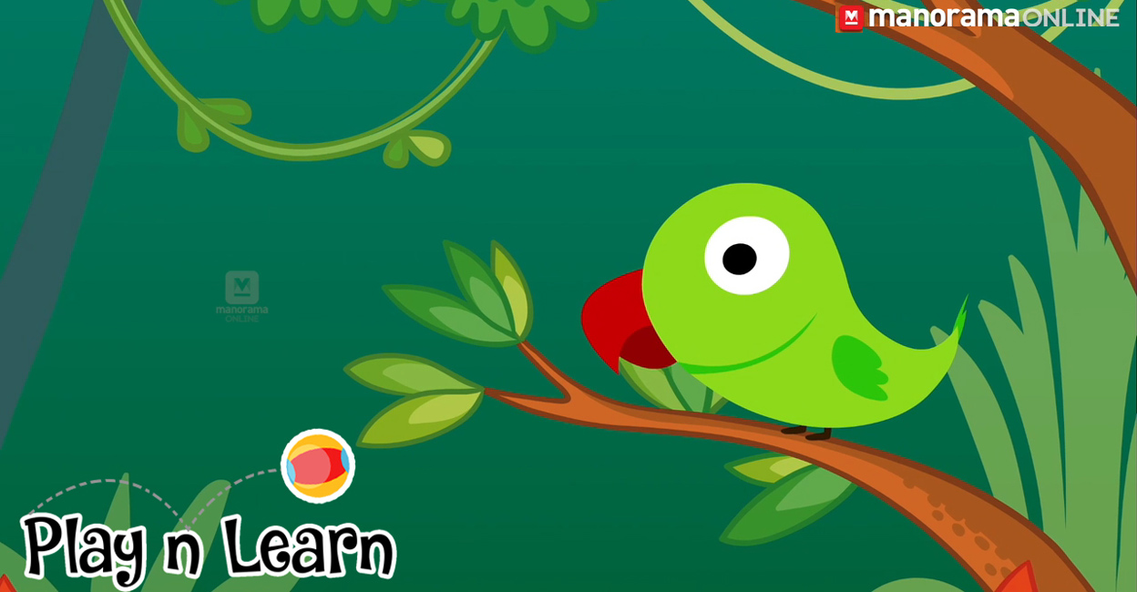 തത്തമ്മ | Thathamma | Malayalam Animated Rhyme | Manorama Online