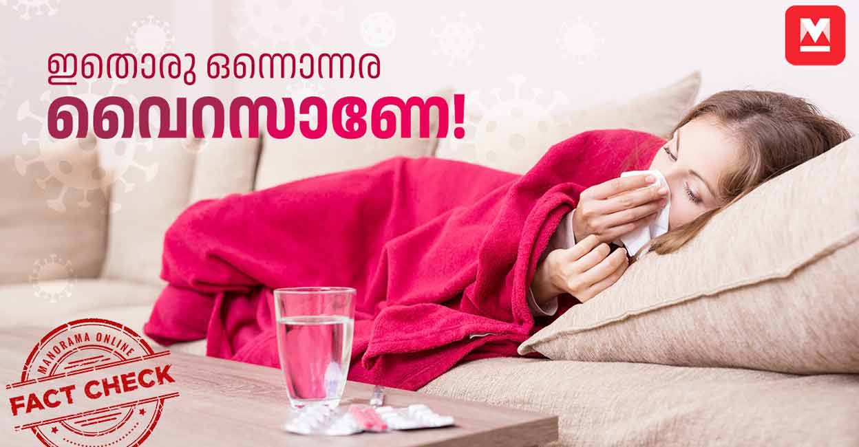 ഇത് വെറുതെ വാരി കഴിക്കല്ലേ! കരളടിച്ചു പോകും | Health Myths | Fact Check ...