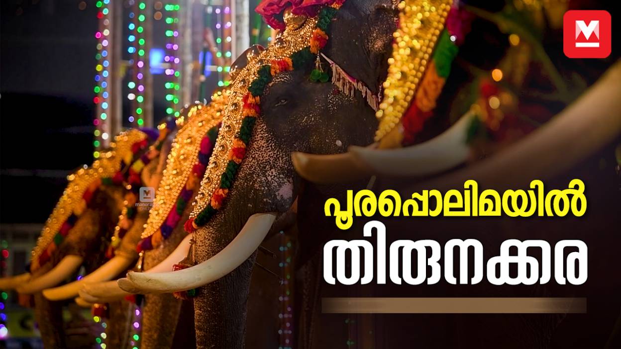 മേളത്തിൽ അമർന്ന്, താളത്തിൽ ലയിച്ച്, കരനിറഞ്ഞ് പൂരം | Thirunakkara Pooram