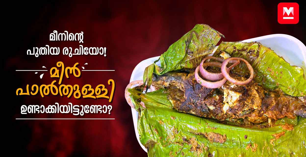 കരിമീൻ തന്നെ വേണമെന്നില്ല, ഈ മീന്‍ കൊണ്ടും പുതു രുചി ഒരുക്കാം | Meen ...