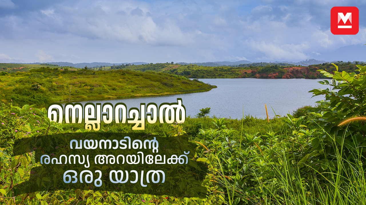 വയനാടിന്റെ രഹസ്യ അറയിലേക്ക്... | Nellarachal View Point Wayanad ...