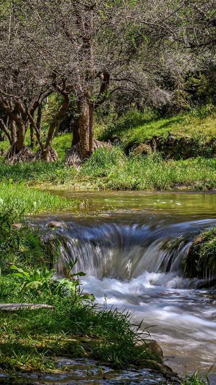 പച്ചയുടുപ്പിട്ട് അൽ ബഹ സഞ്ചാരികളുടെ ഒഴുക്ക് - Al Baha welcomes tourists ...