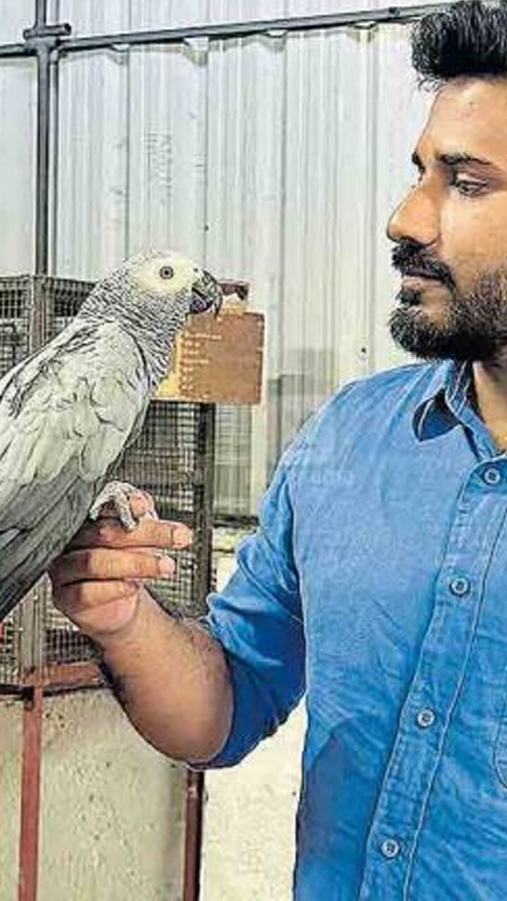 അബുവും കൂപ്പറും ചക്കരയും...