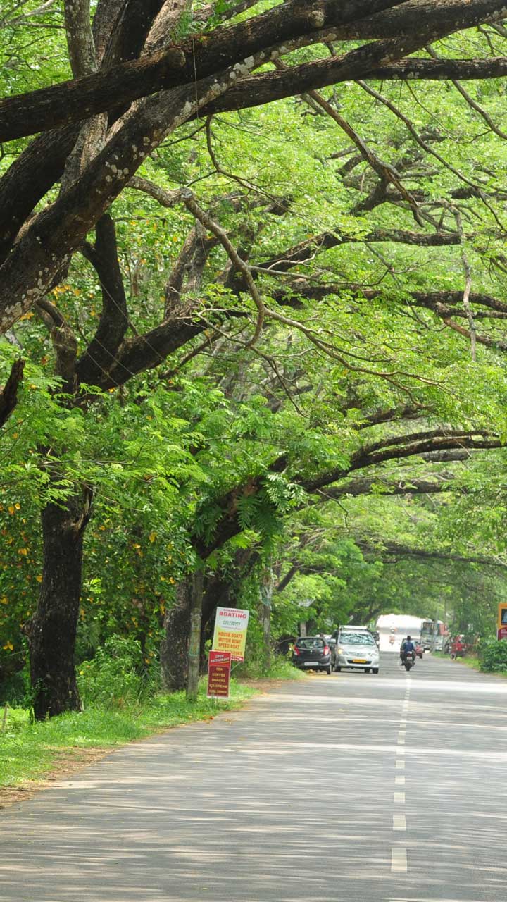 കായൽ കാഴ്ചകൾ ആസ്വദിച്ച് ഫഹദും നസ്രിയയും കുമരകത്ത് - Nazriya Nazim ...